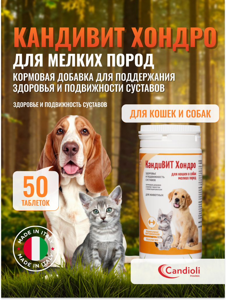 КандиВИТ Хондро, для кошек и собак мелких пород