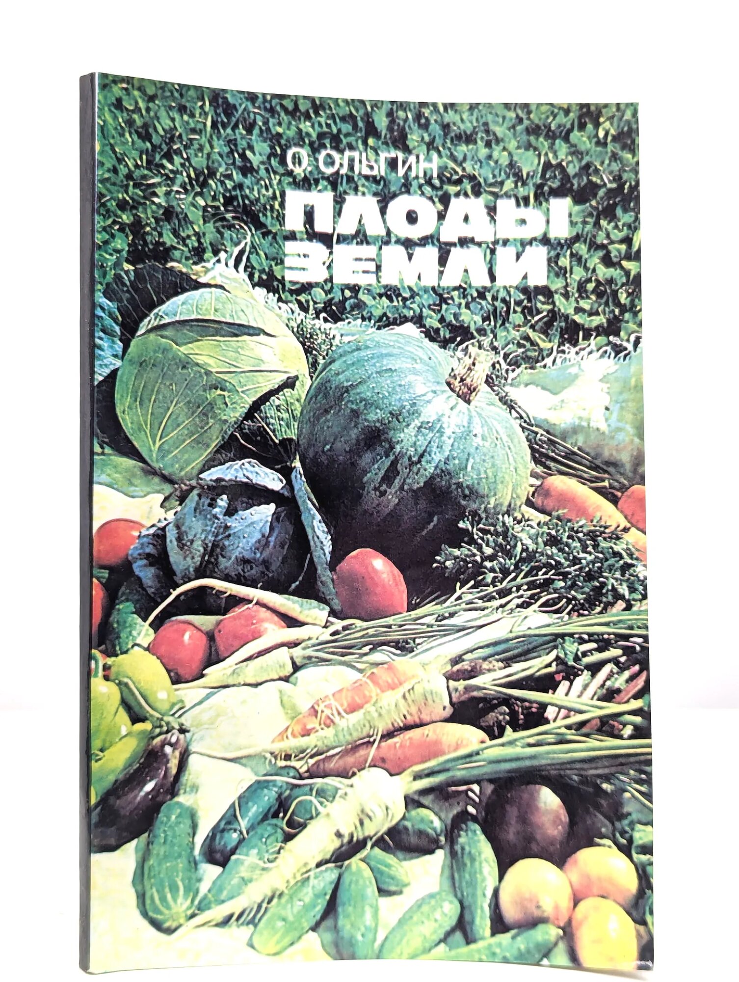 Плоды земли Ольгин Ольгерт Маркович 1991