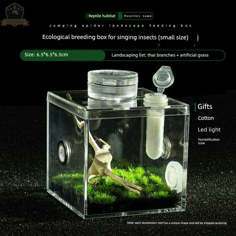 Клетка для разведения прыгающих пауков, премиум-террариум для пауков, для цикад, стрекоз, высокопрозрачный контейнер