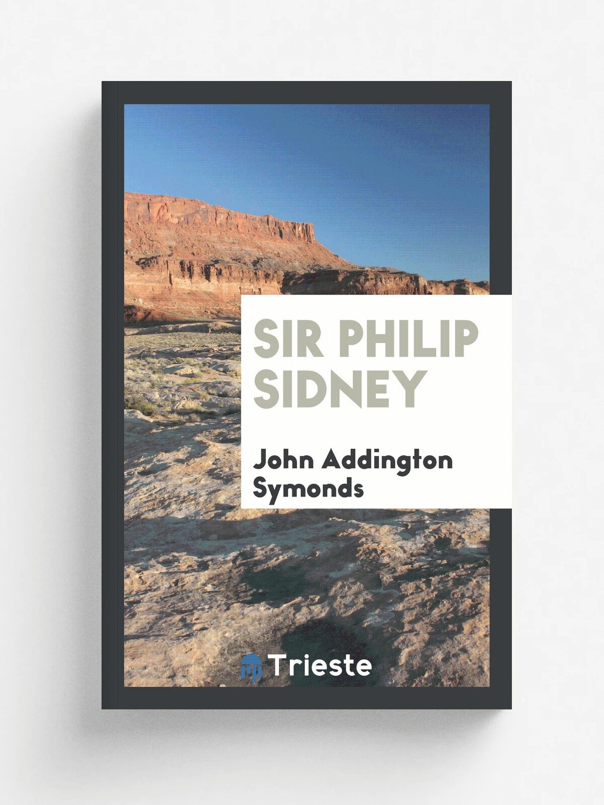 Sir Philip Sidney