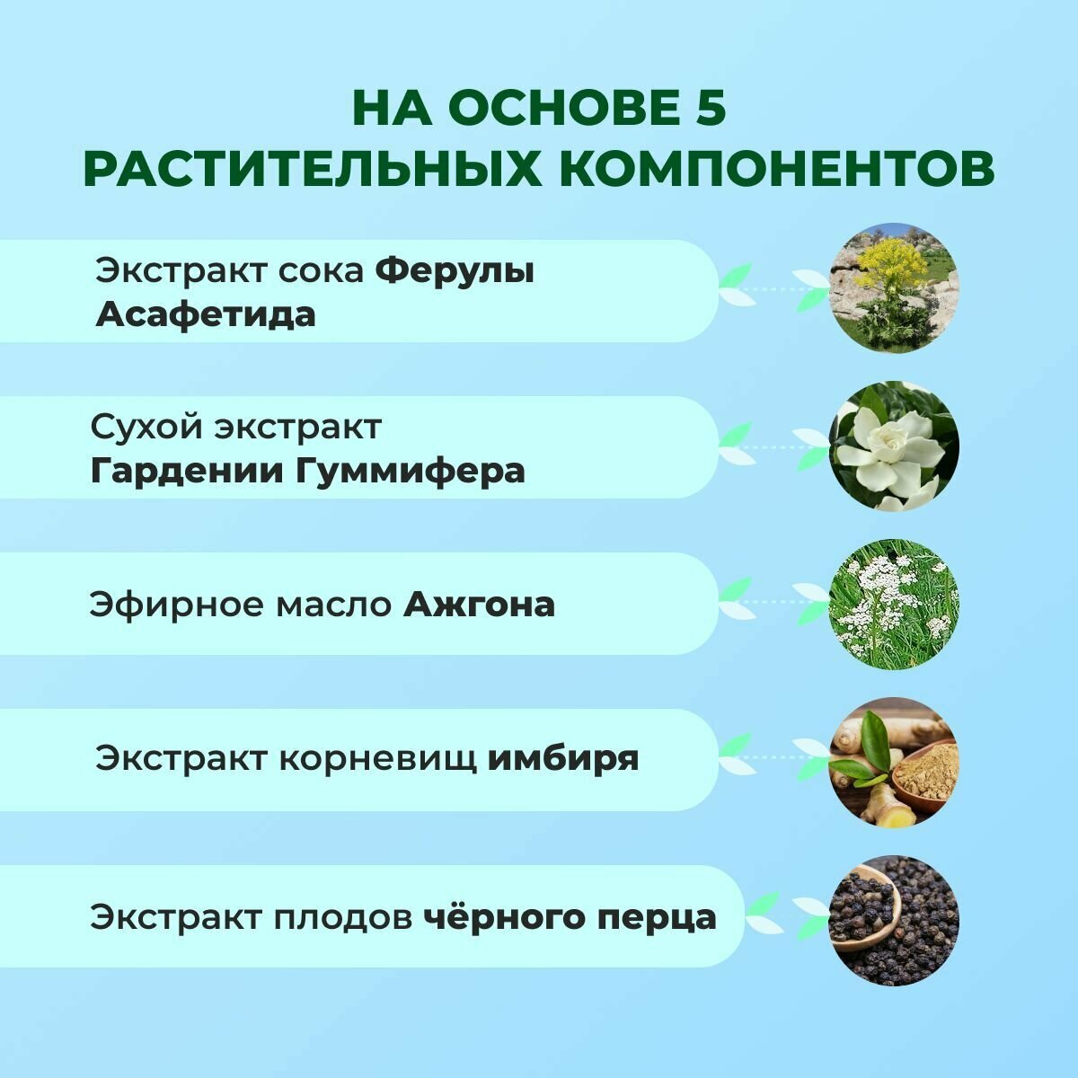 3 шт тамиз, 20 Капсул. Тамиз капсулы от вздутия живота, пучения, ощущение тяжести в животе, против урчания и отрыжки, мягкое слабительное. БАД для ЖКТ — фото 1