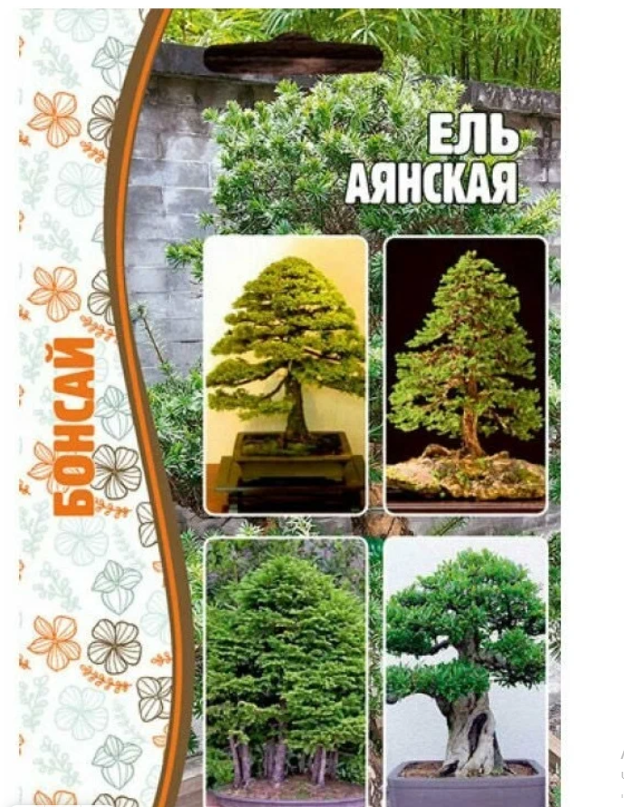 Семена "Ель Аянская"