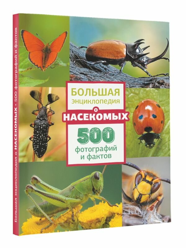 Большая экциклопедия о насекомых 500 фотографий и фактов Книга Спектор АА 12+