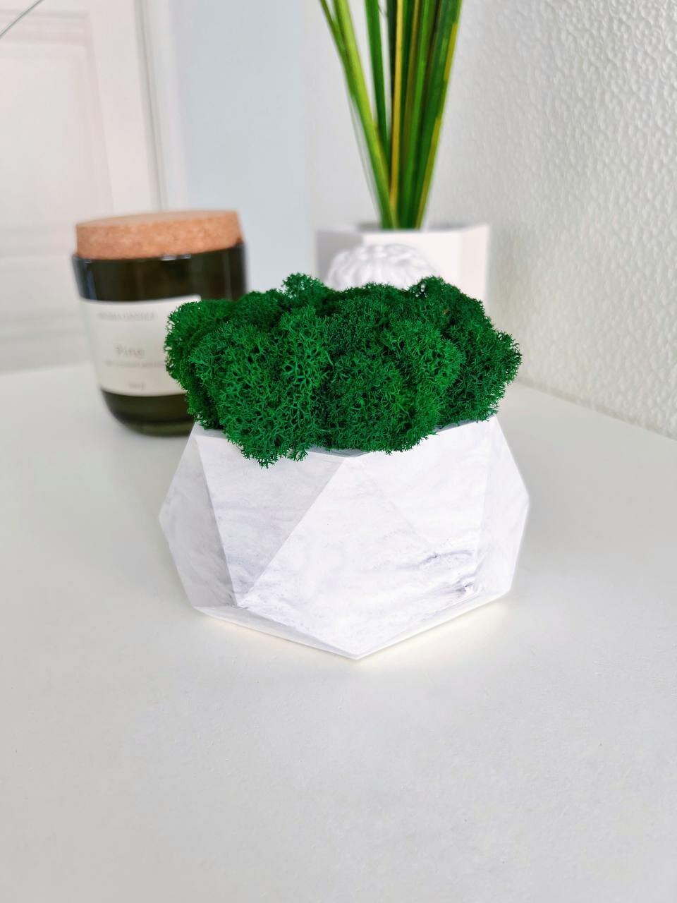 Кашпо со стабилизированным мхом для декора настольное интерьерное Molecula Decor