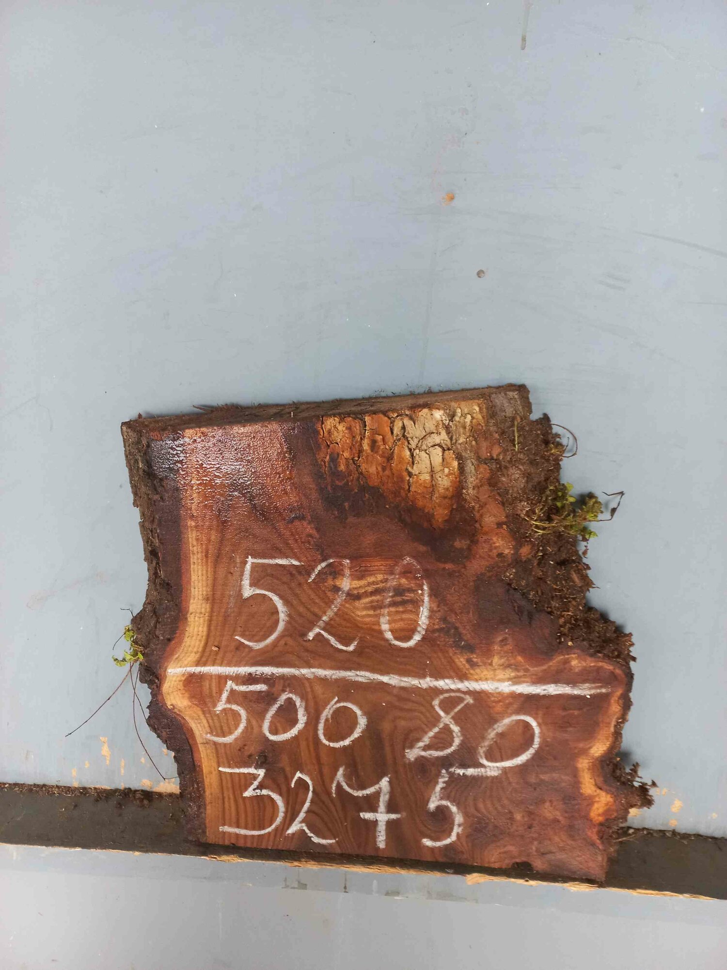 Слэб доклес Карагач 3275 №, для столешниц/подоконников/полок, 8x52x50 см