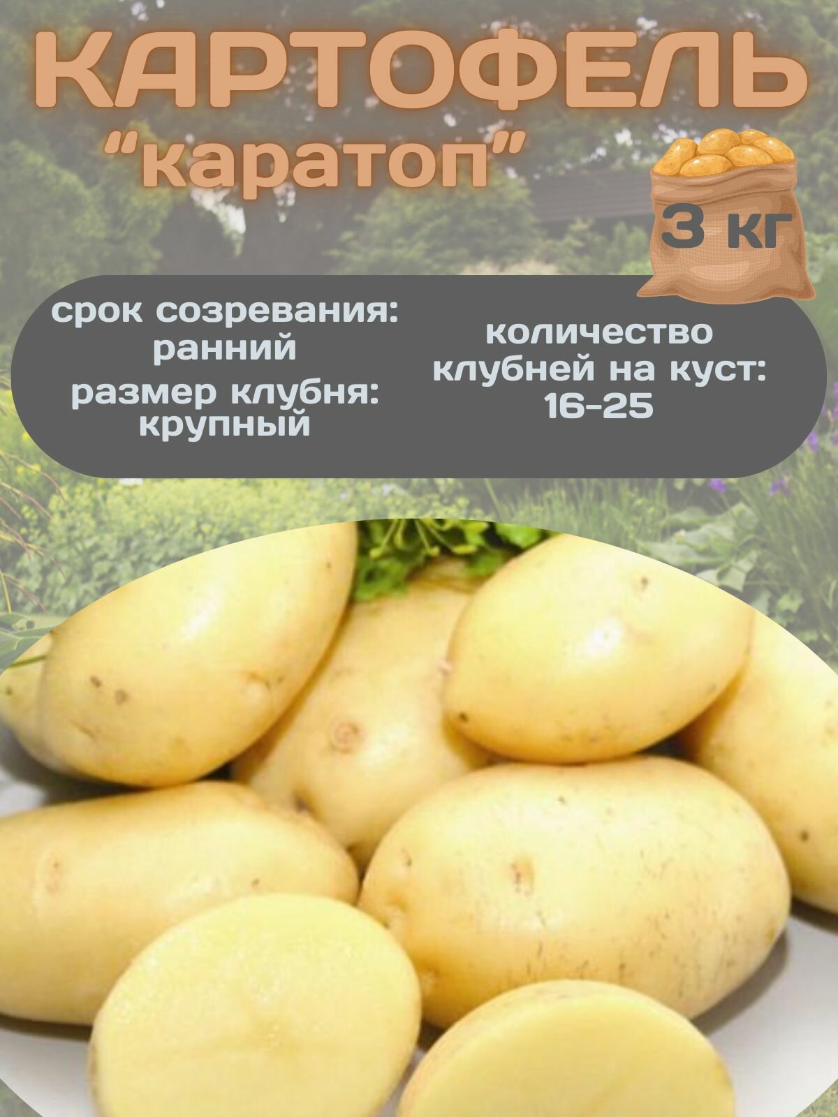 Картофель семенной Каратоп 3 кг, на посадку
