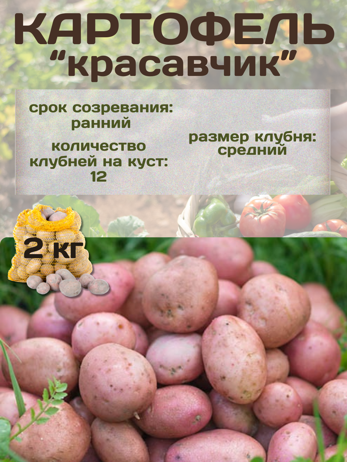 Картофель семенной Красавчик 2 кг, на посадку