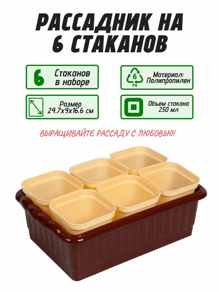 Горшки для рассады, стаканчики для рассады, 6 штук по 250 мл, 247x166x90 мм: компактно помещается на узких подоконниках и стеллажах