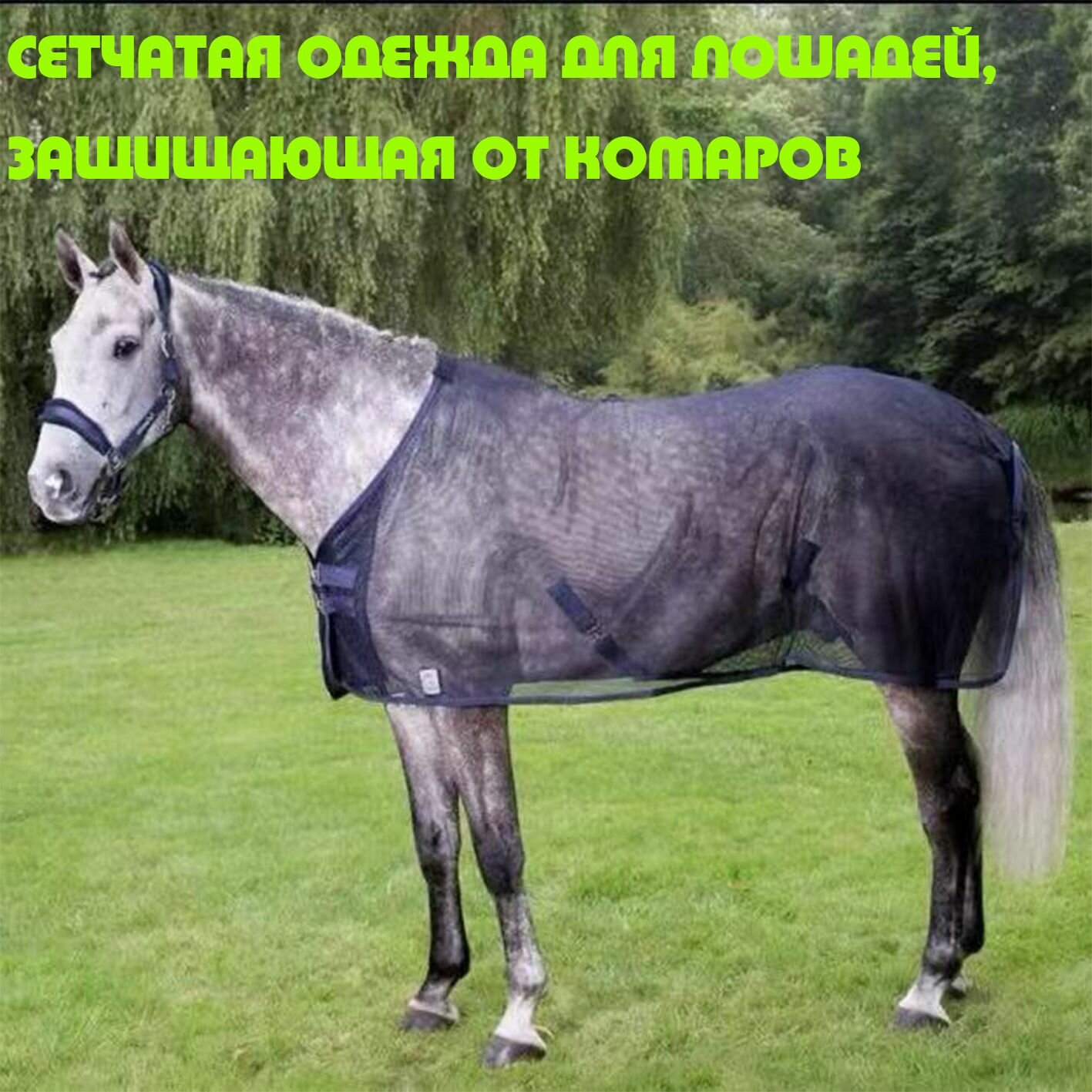 Антимоскитная одежда для лошадей