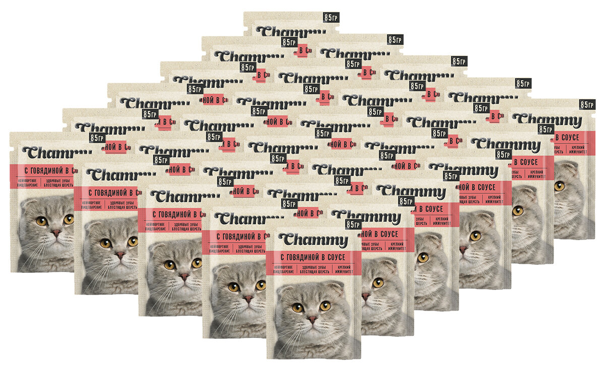 Корм влажный Chammy для взрослых кошек с говядиной в соусе пауч 85 г х 30 шт