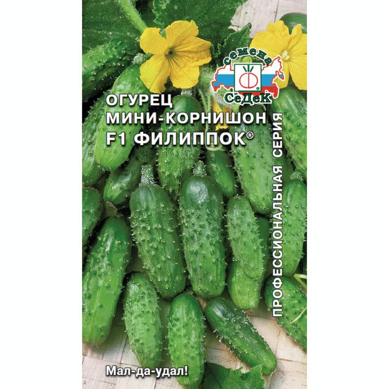 Семена огурец Филиппок седек F1, Евро, 0,3, для дачи, сада, огорода и на рассаду