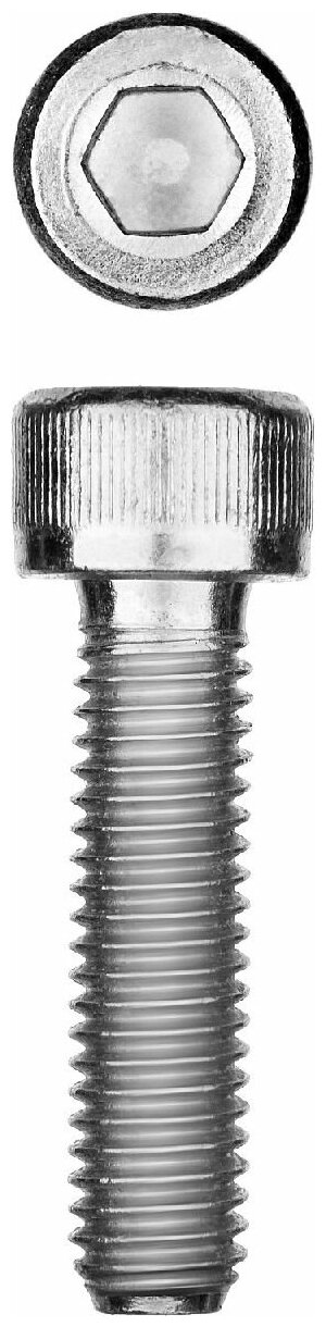 Винт с внутренним шестигранником ЗУБР Профессионал DIN 912 пр. 8.8 М6 x 30 мм 5 кг (630 шт.) (30318-06-030)