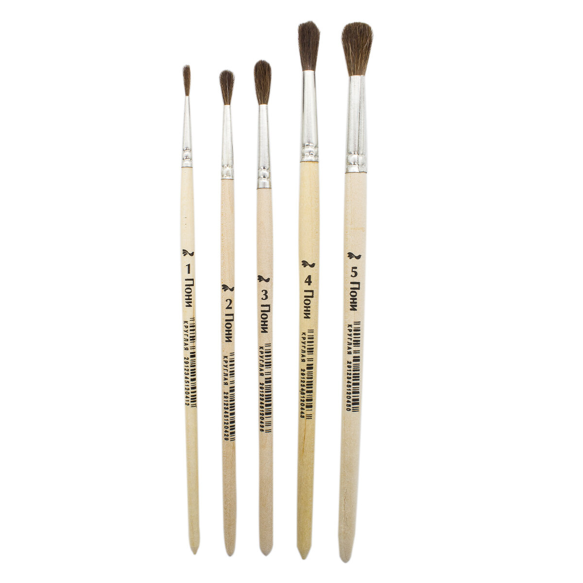 Кисти для рисования набор 'Ромашка', 5 штук (№ 1, 2, 3, 4, 5), натуральная щетина (пони), Артком