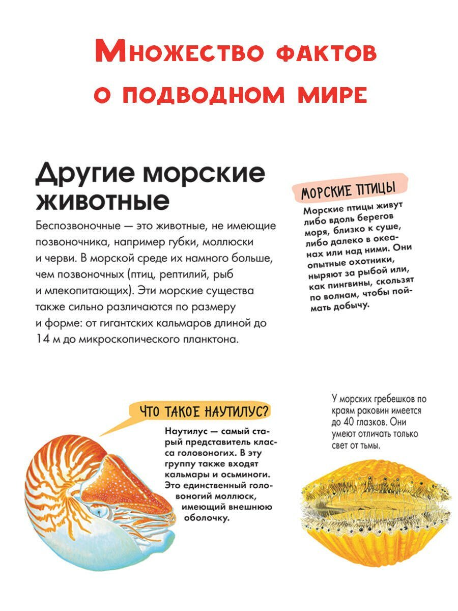 Подводный мир — фото 1