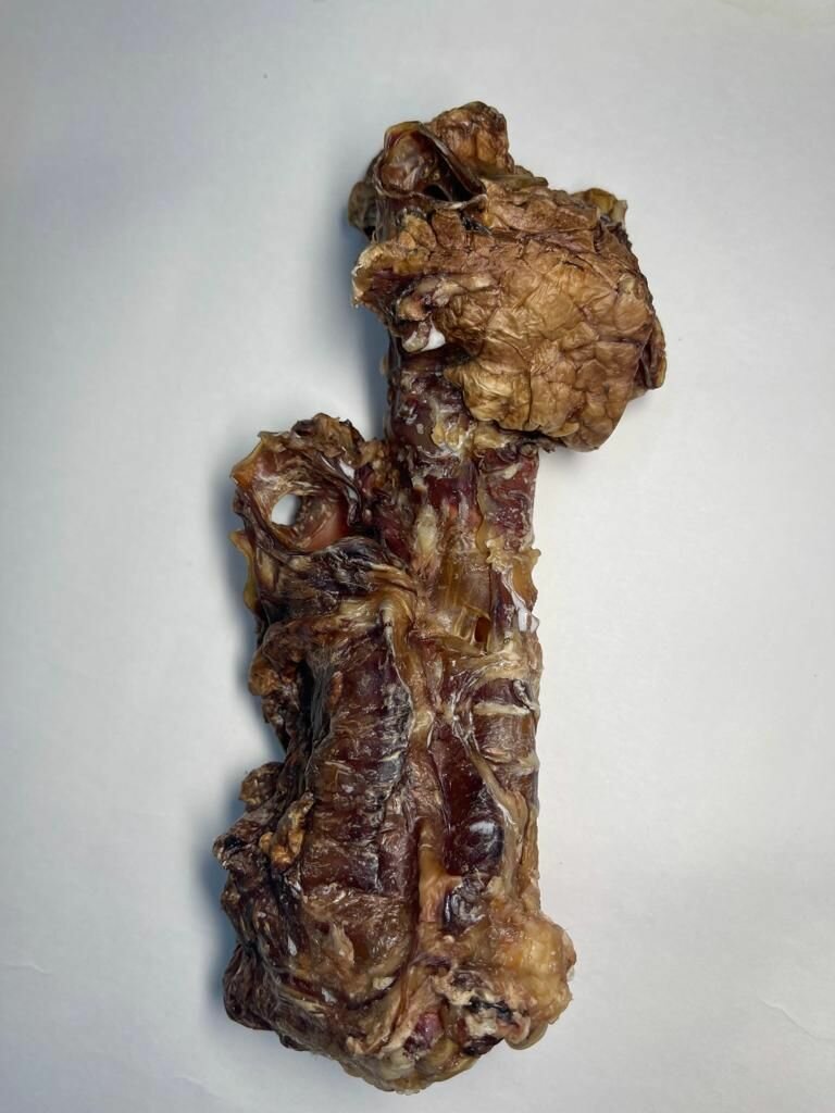 Лакомство для собак, Трахея с легким для всех пород собак 100% Натуральная