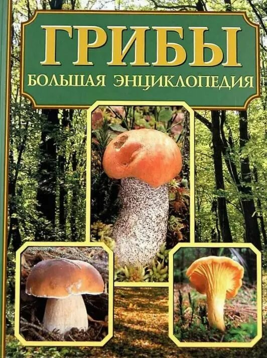 Грибы. Большая энциклопедия