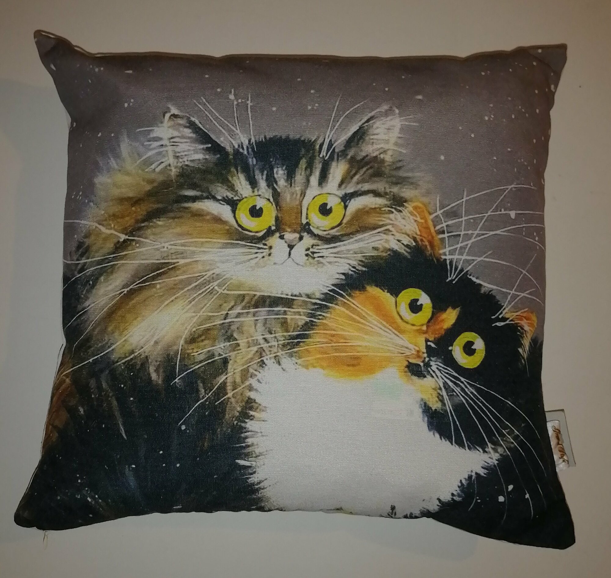 Наволочка декоративная Grand Style Коты 45х45 на молнии