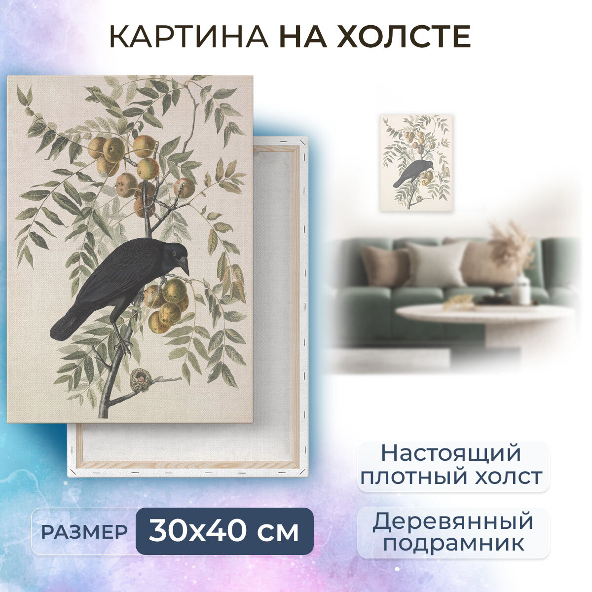 Картина на холсте, репродукция / Джон Джеймс Одюбон - American Crow / Размер 30 x 40 см