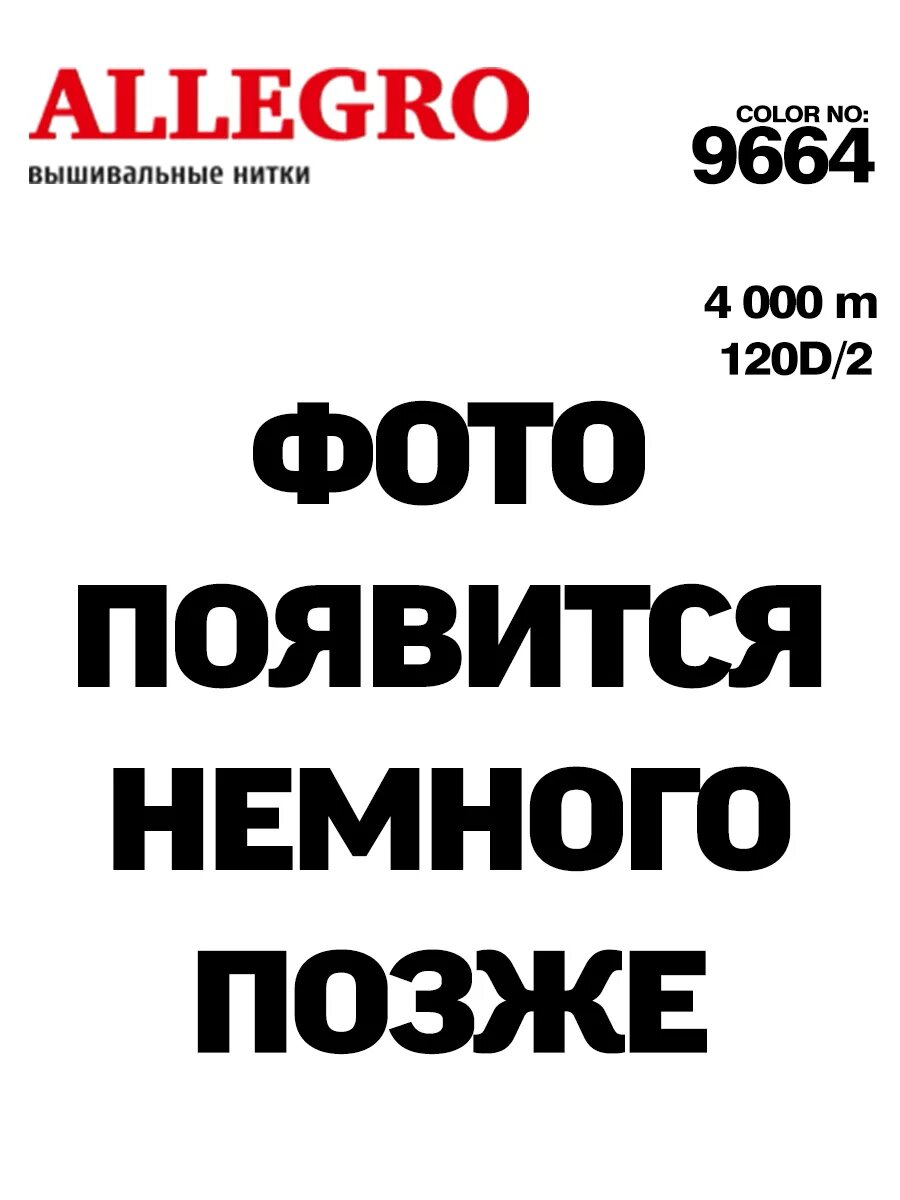 Нитки вышивальные 120D/2 9664 Полиэстер 4000м
