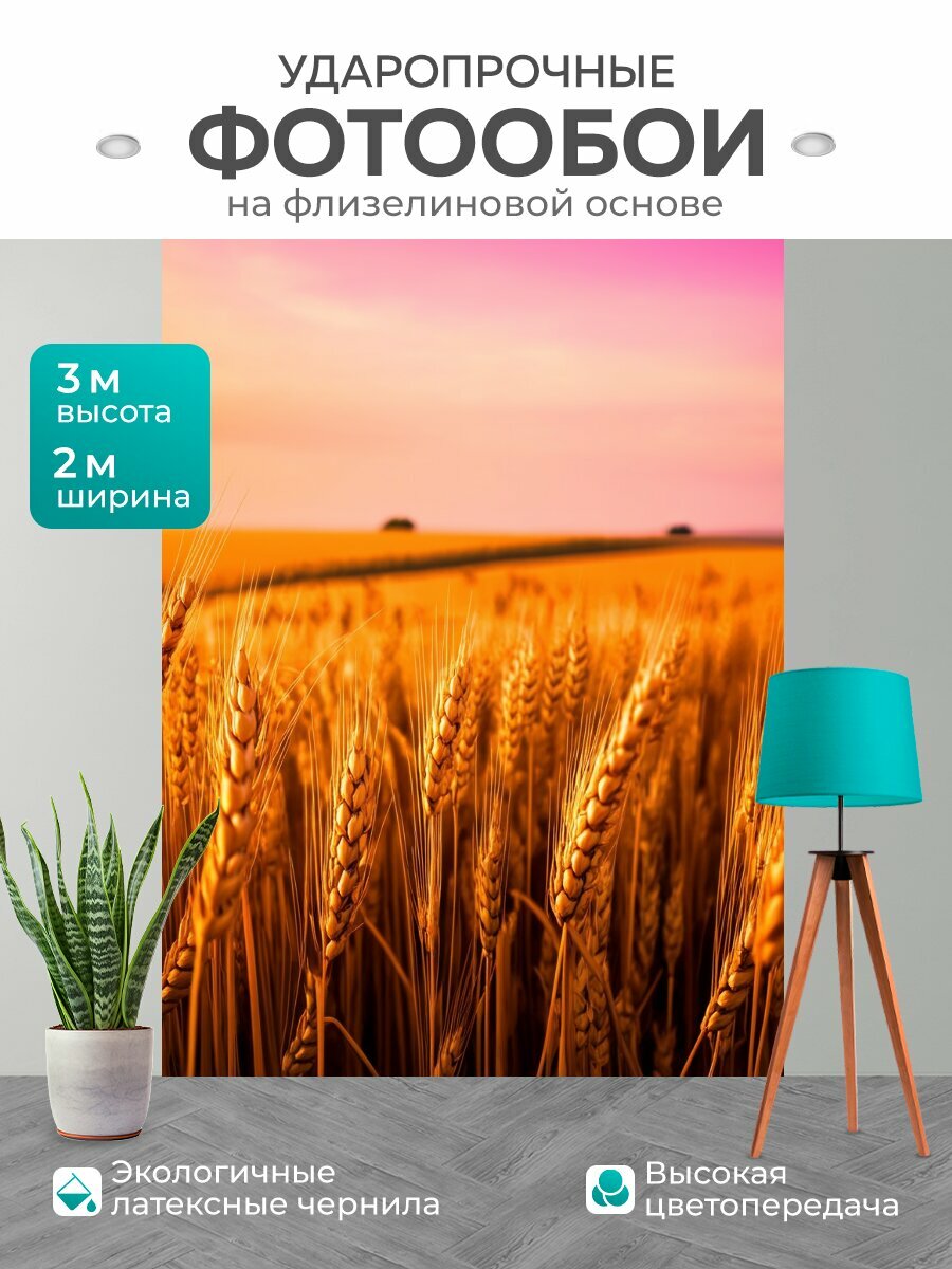 Фотообои моющиеся ударопрочные "Рассвет на бескрайних полях пшеницы, золотистые колосья дергаются на ветру, небо заполнено яркими цветами, от сочного" 200x300 см. флизелиновые на стену