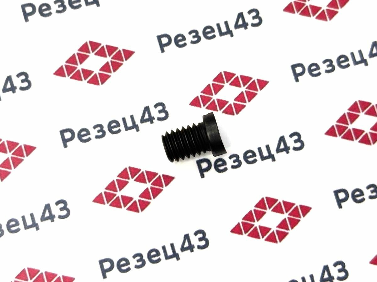 Винт М6х10 для крепления пластин