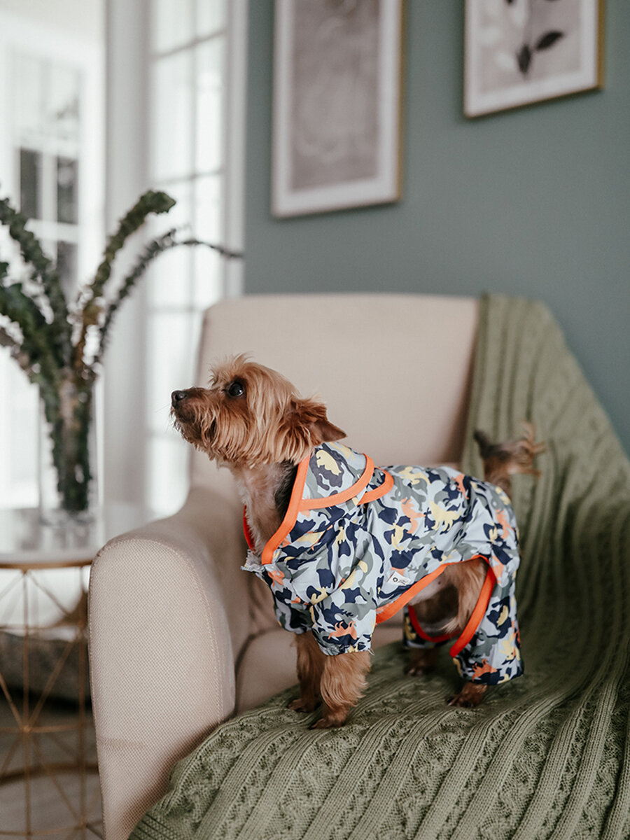 Дождевик/куртка, одежда для собак, "Не Один Дома" Фрогги, разноцветный, L