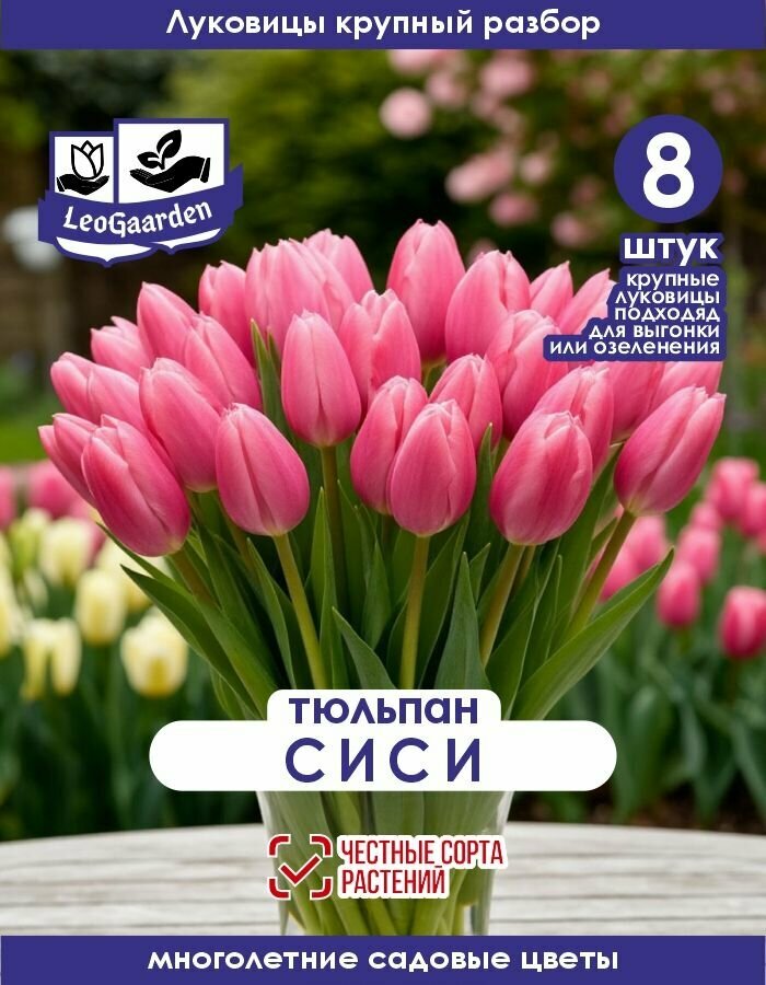 Тюльпан Луковица, Сиси, 8 шт крупные