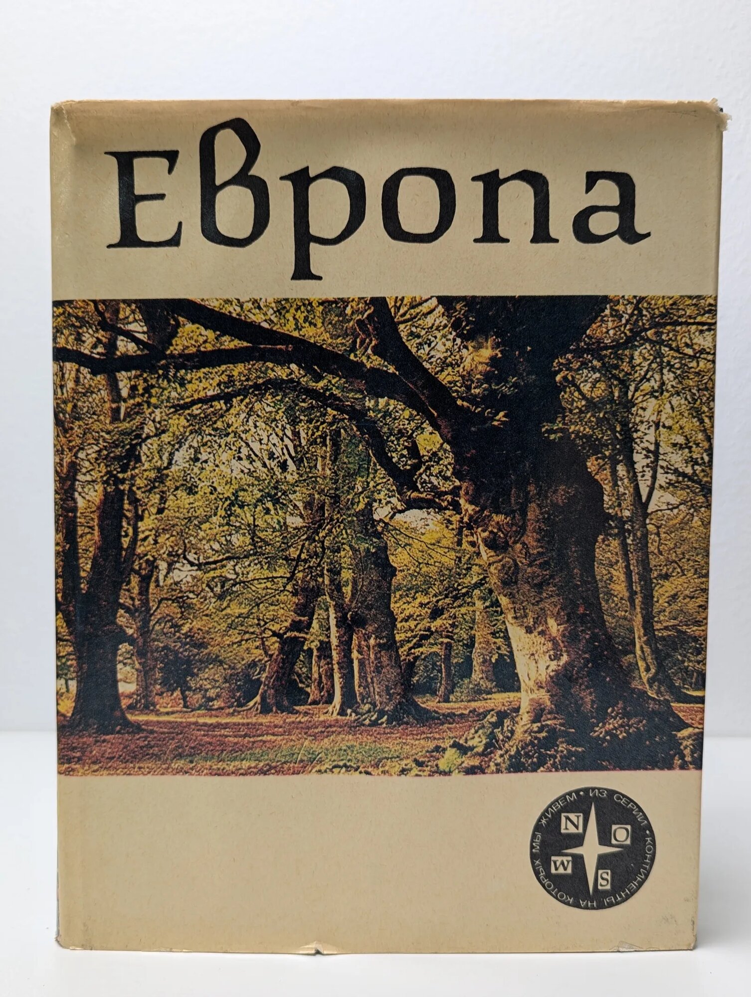 Европа Карри-Линдал Кай 1981