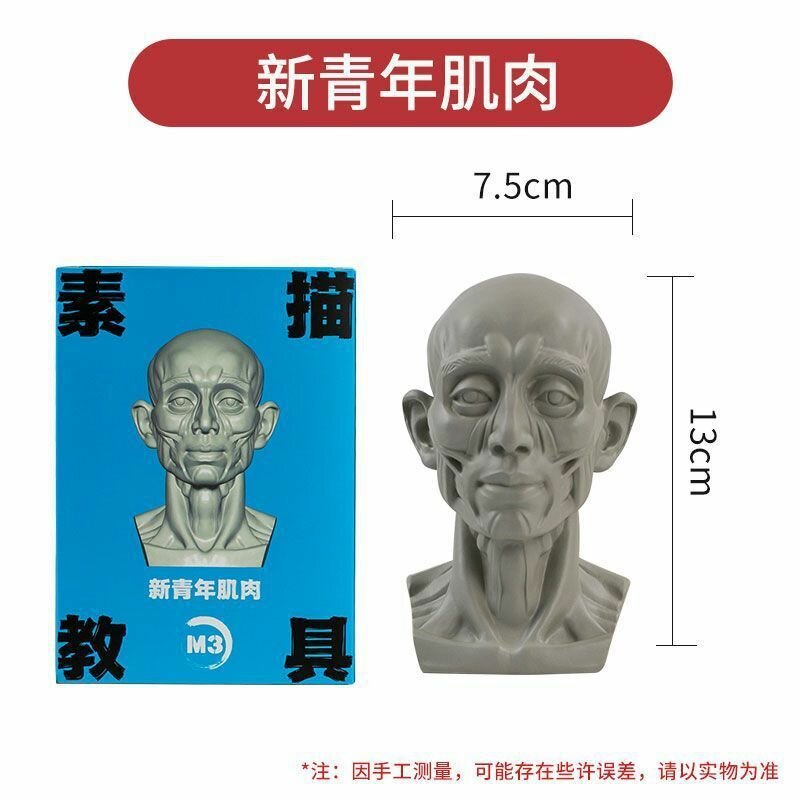 Модель головы Милонга, голова Тэо, гипсовая модель головы, учебное пособие, реалистичная голова, мини-версия, гипсовая модель для эскизов