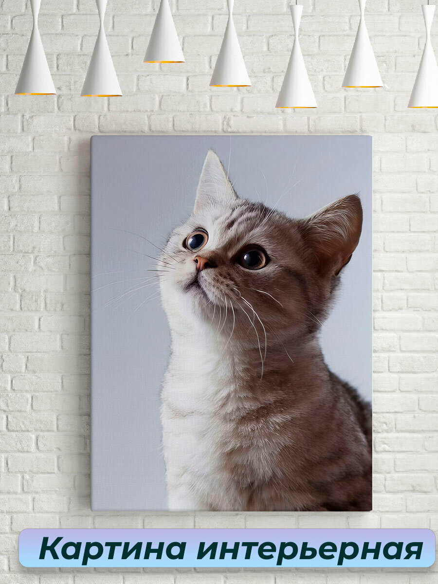 Картины для интерьера 30х40 Кошка серая мордашка