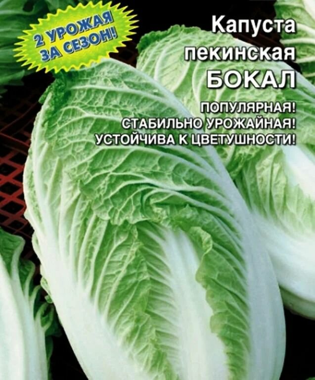 Коллекционные семена капусты пекинская Бокал/