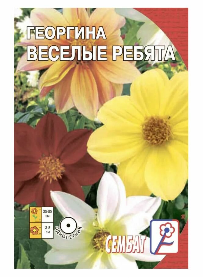 Георгина Веселые Ребята 0.1г Сембат Семена стандарт 2 упаковки