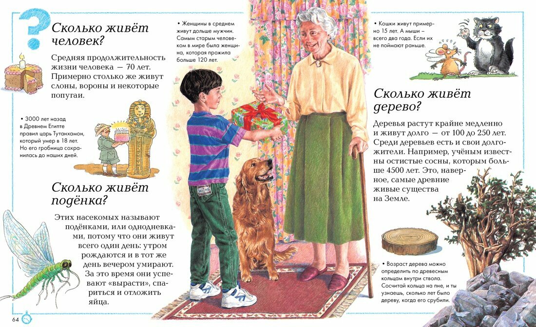 Энциклопедия Отчего и почему? — фото 1