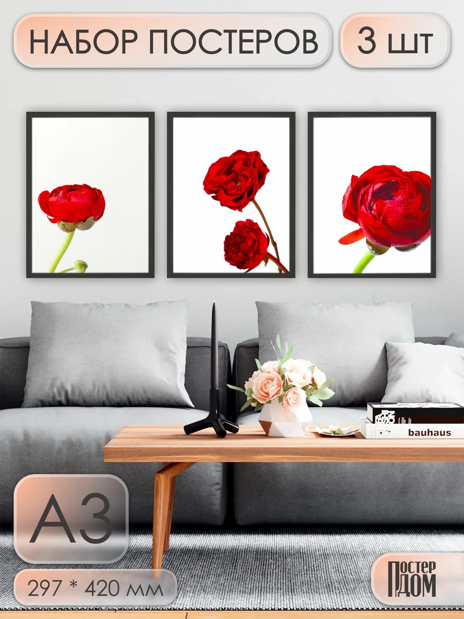 Постеры интерьерные на стену эстетика красные пионы