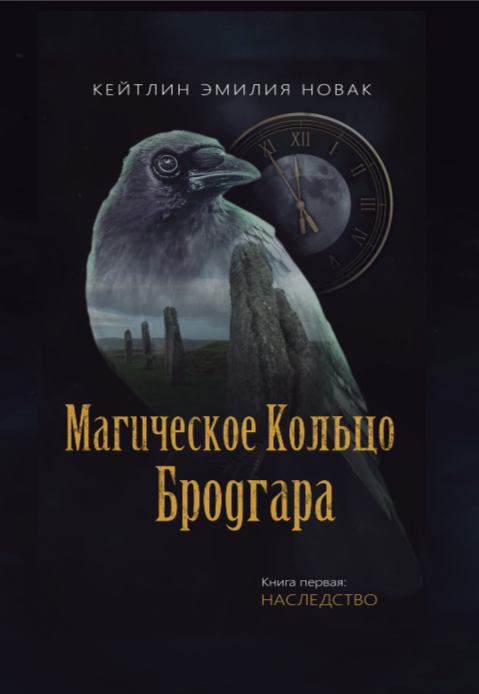 Книга "Магическое кольцо Бродгара. Наследство" Новак, фэнтези, твёрдый переплёт, 332 стр
