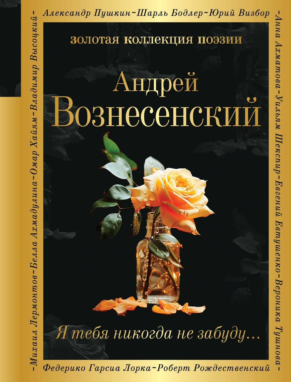 Я тебя никогда не забуду.
