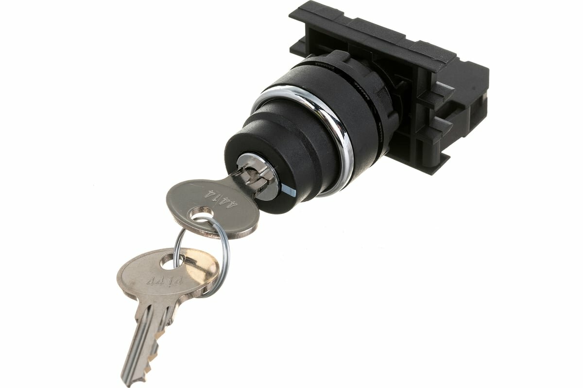 Emas Кнопка с ключом 0-1, с фиксацией, 250 В AC, 4 А, B100AA20 для монтажа