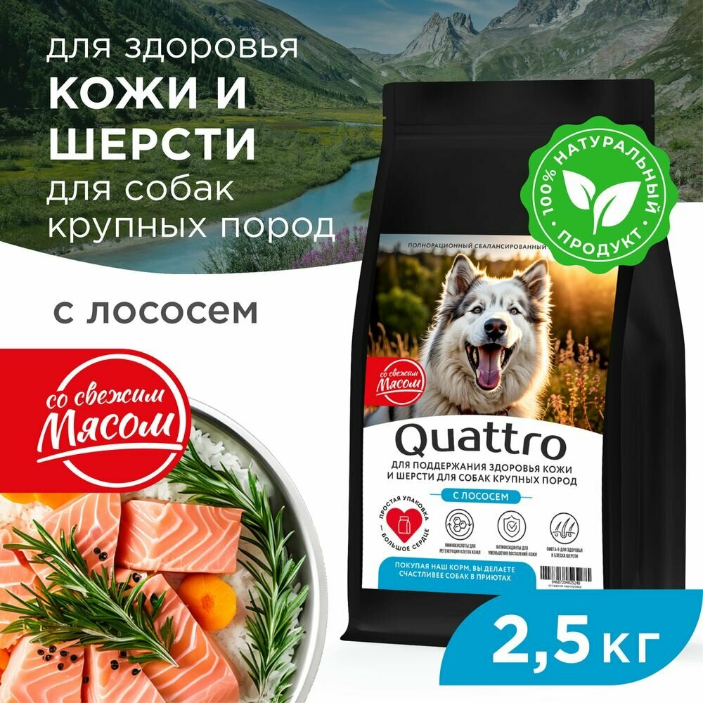 Корм сухой для взрослых собак крупных пород, премиум полнорационный комплекс, здоровье кожи и шерсти, с лососем, 2,5 кг, QUATTRO