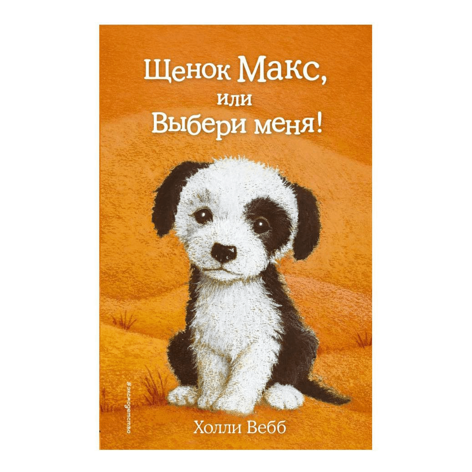 Щенок Макс или Выбери меня Книга Вебб Холли 6+