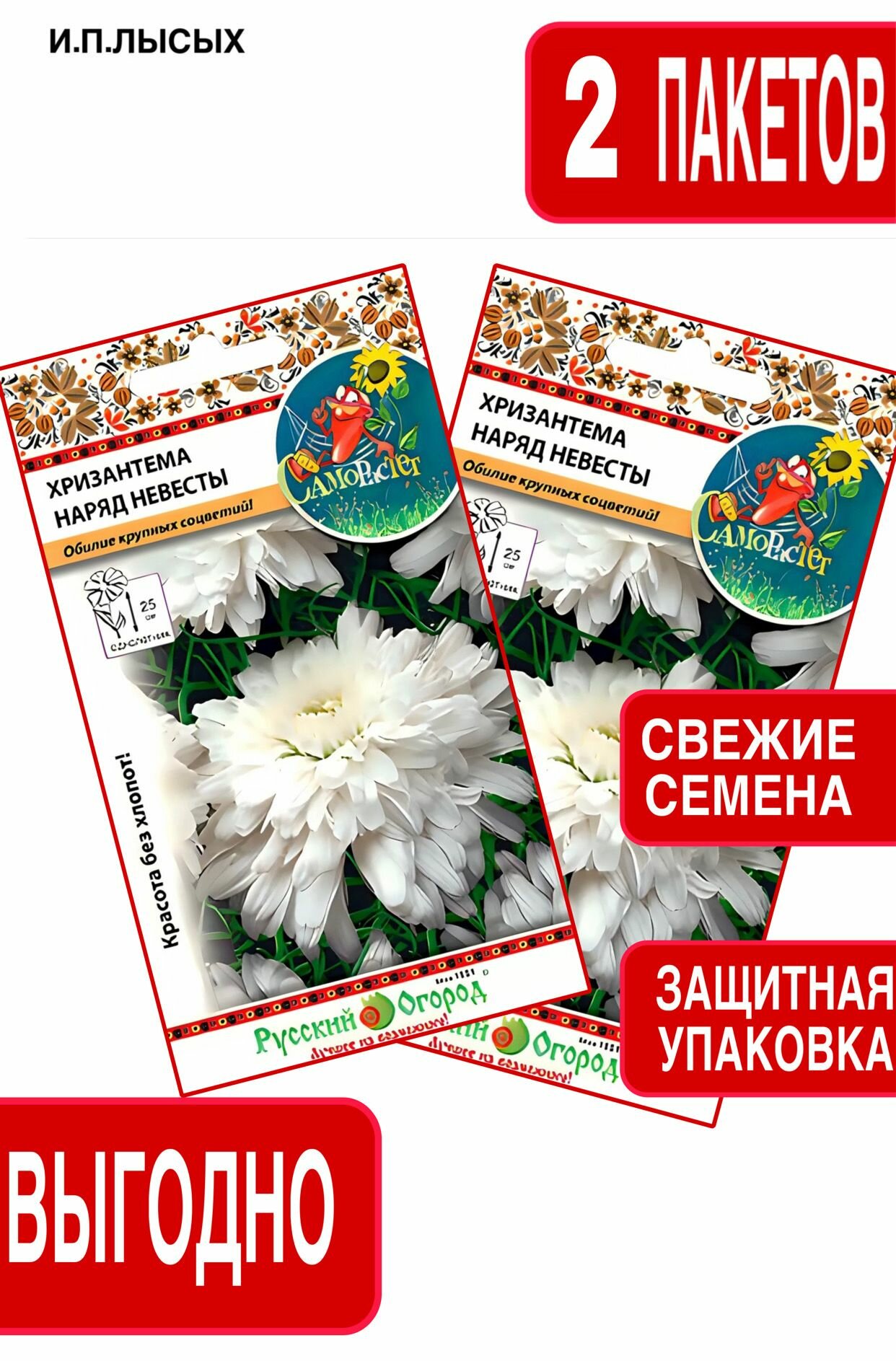 Семена цветов Хризантема наряд невесты