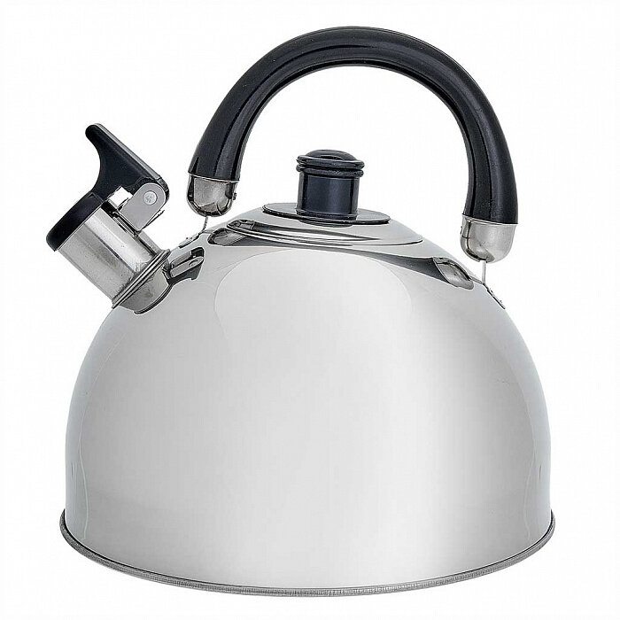 Чайник со свистком Webber BE-0528 из нержавеющей стали, индукционное дно, объём 4.5 л