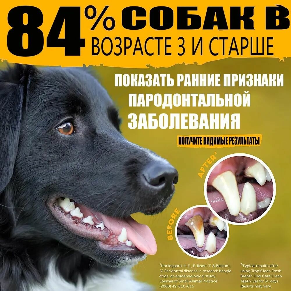 TropiClean Fresh Breath, Clean Tartar, гель для ухода за полостью рта собак 59 мл