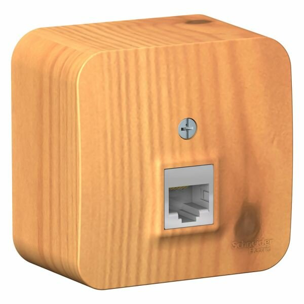 6 шт. Systeme Electric Blanca наружная Ясень Розетка компьютерная RJ45, кат.5E, изолированная пластина, BLNIA045005