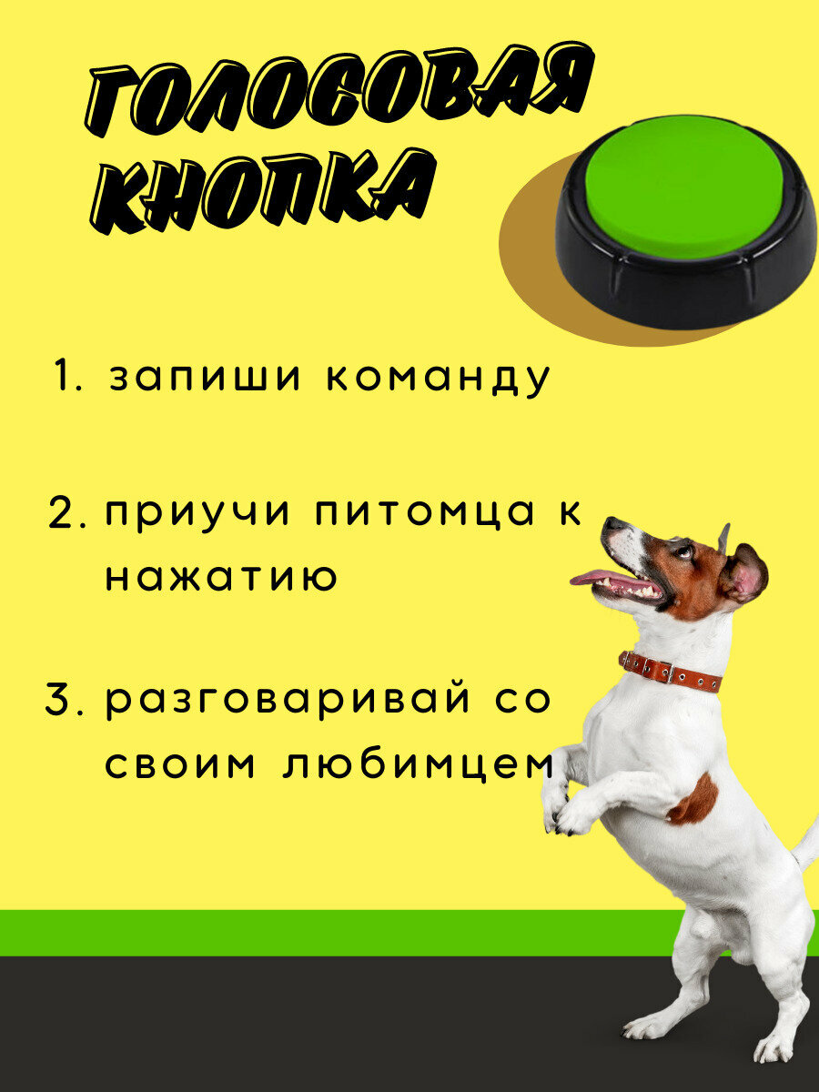 Голосовая кнопка для дрессировки собак и кошек с записью, интерактивная обучающая кнопка для животных, зеленая