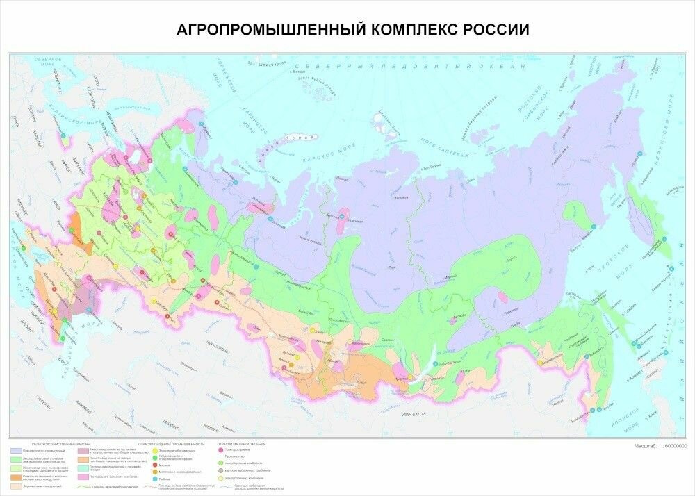 Карта Агропромышленный комплекс России. 8-9 классы (100*140см.)