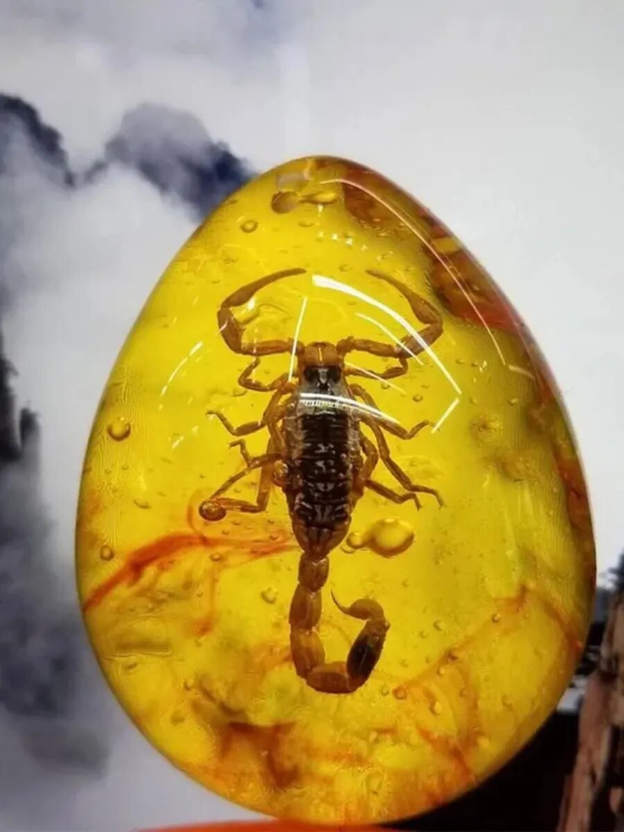 Ископаемые экземпляры янтарных насекомых, бабочка