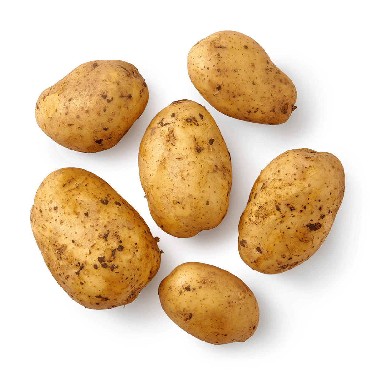 Картофель "Отборный" свежий, в полиэтиленовом пакете, 1 упаковка