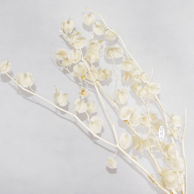 Вечный ветровой колокольчик, фонарь из сухофруктов, свадебное украшение, домашняя цветочная композиция, кислая ягода, настоящий цветок для оконного декора