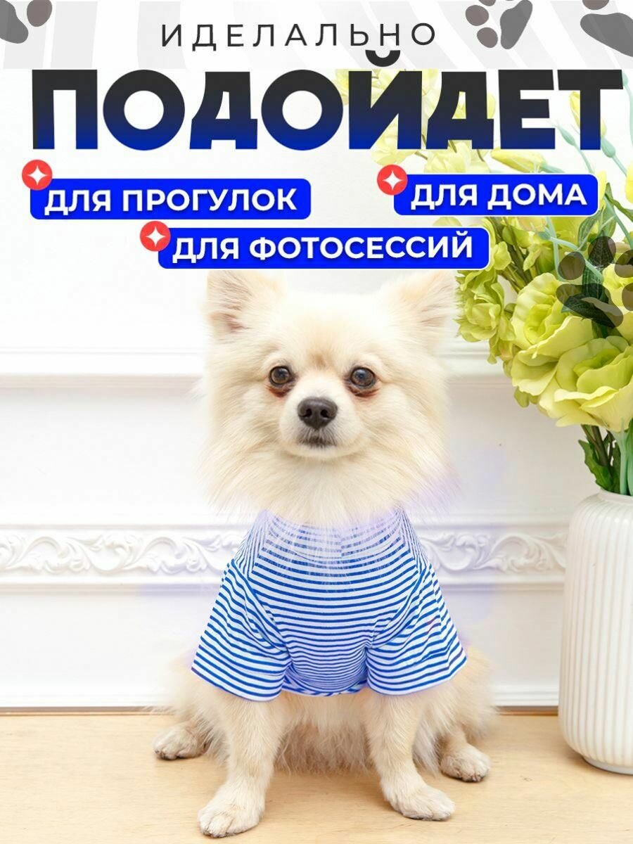 Одежда для животных — фото 1