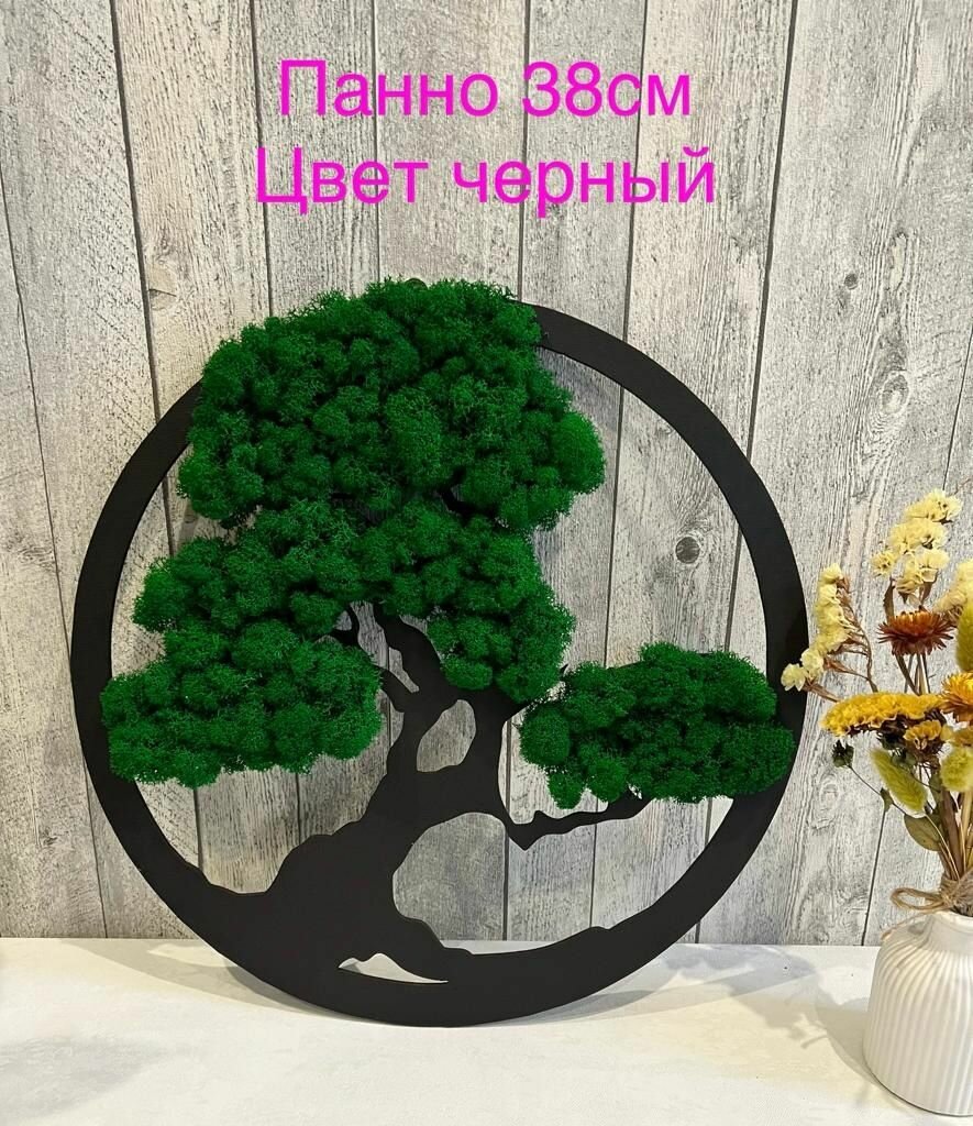 Декоративное панно со стабилизированным мхом 38см в черном цвете. Картина на стену.